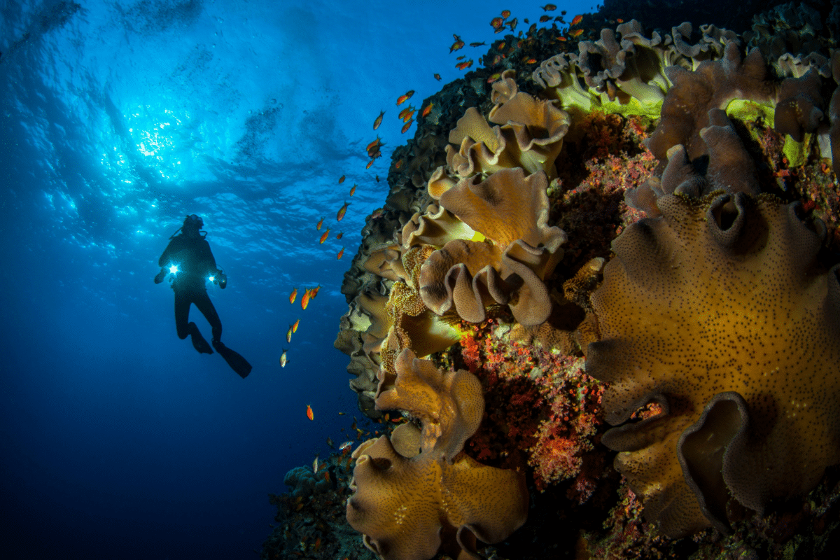 Premergy Batteries Boost Efficiency of Underwater Drones